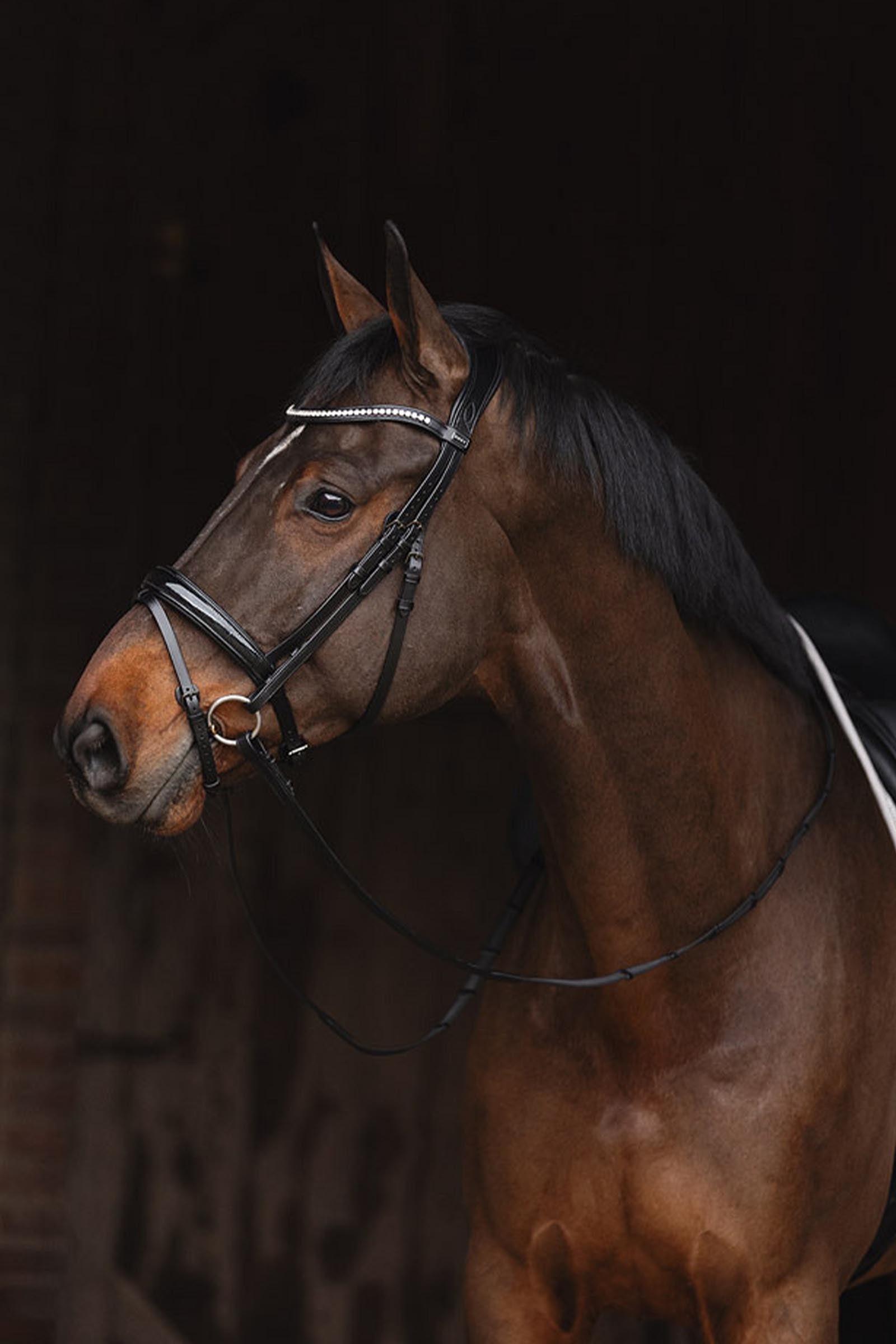 ANKY Bridle Metallic Patent Leather Black C – horze