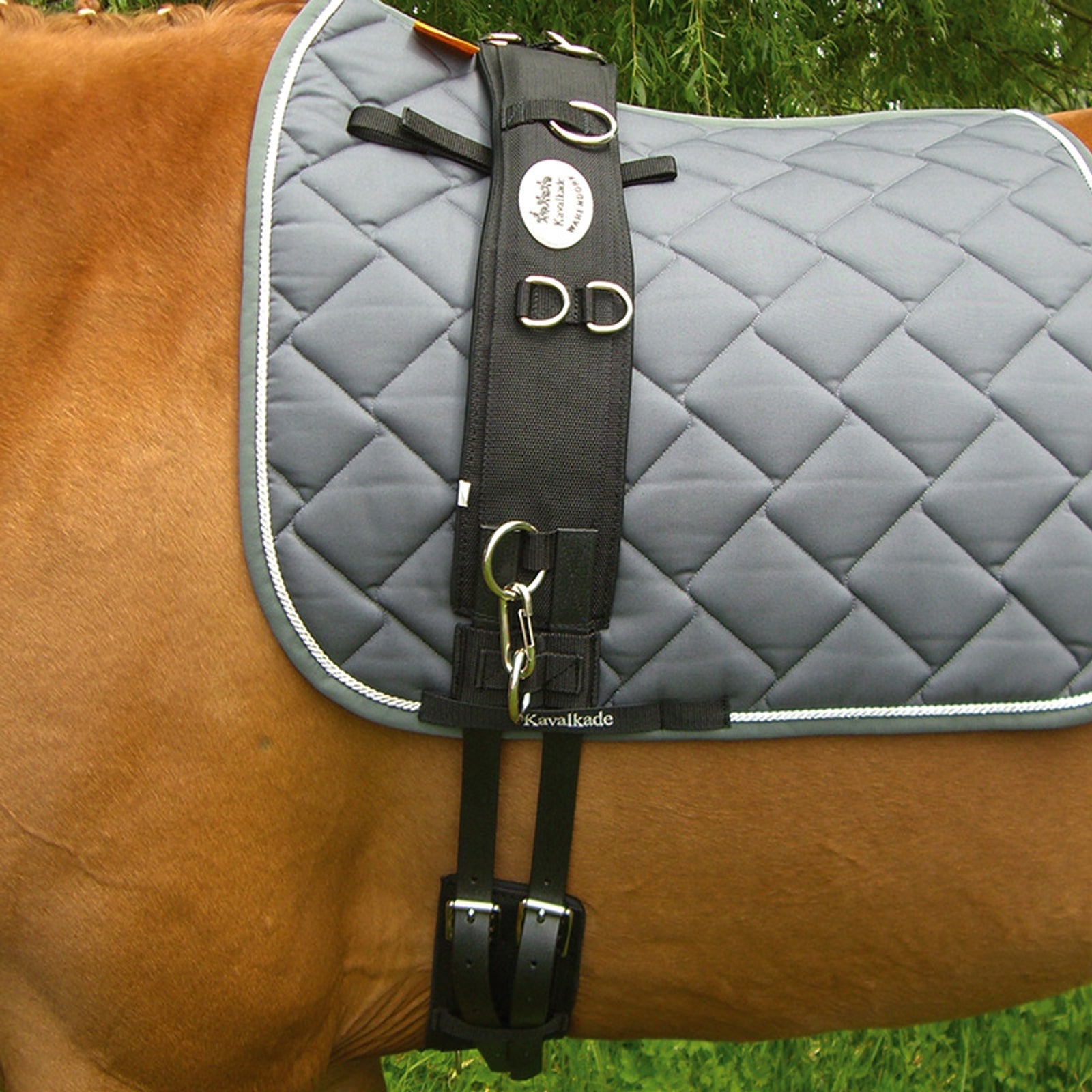 Kavalkade sottopancia da longe in neoprene nera – horze