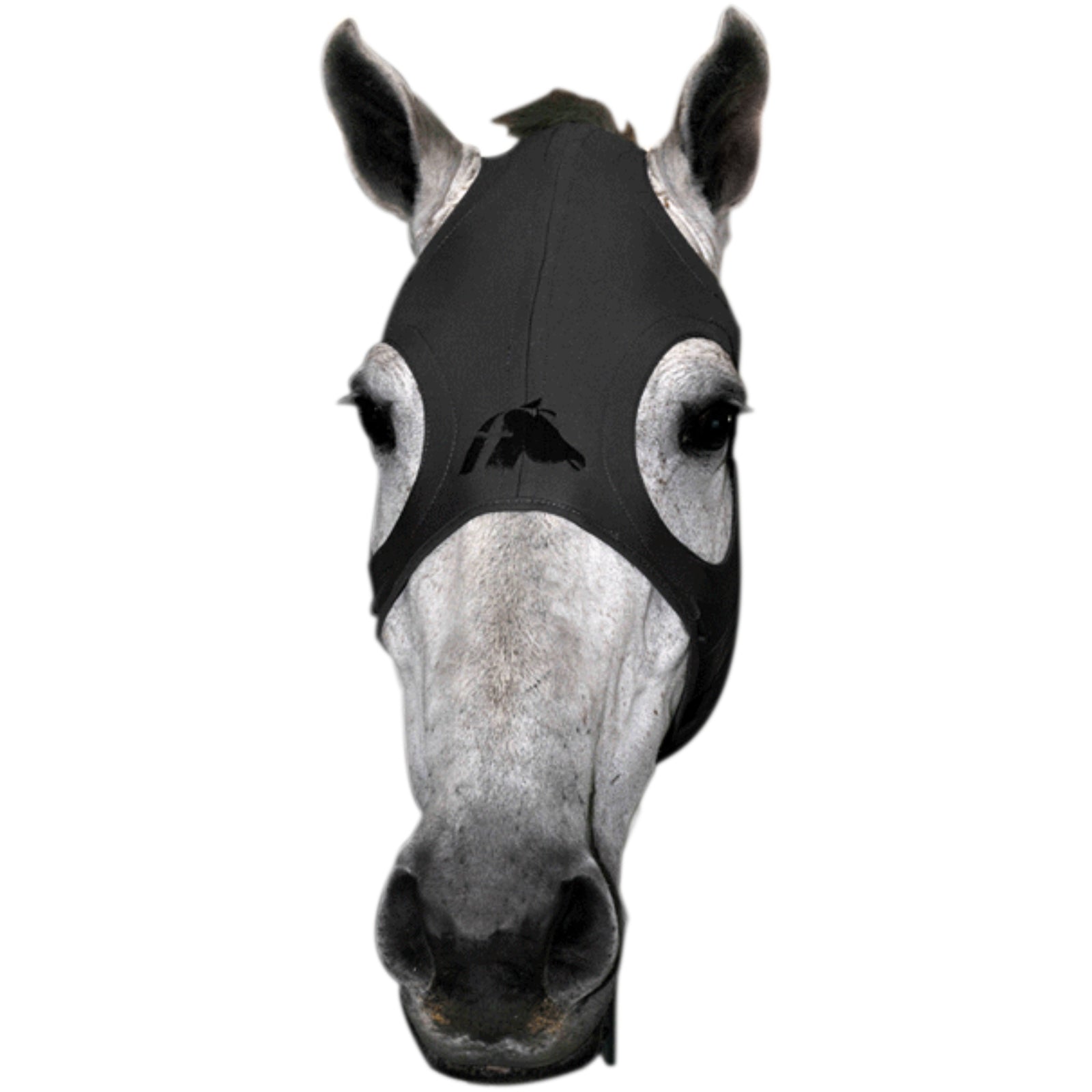 Fenwick Liquid Titanium Mask Black S – horze