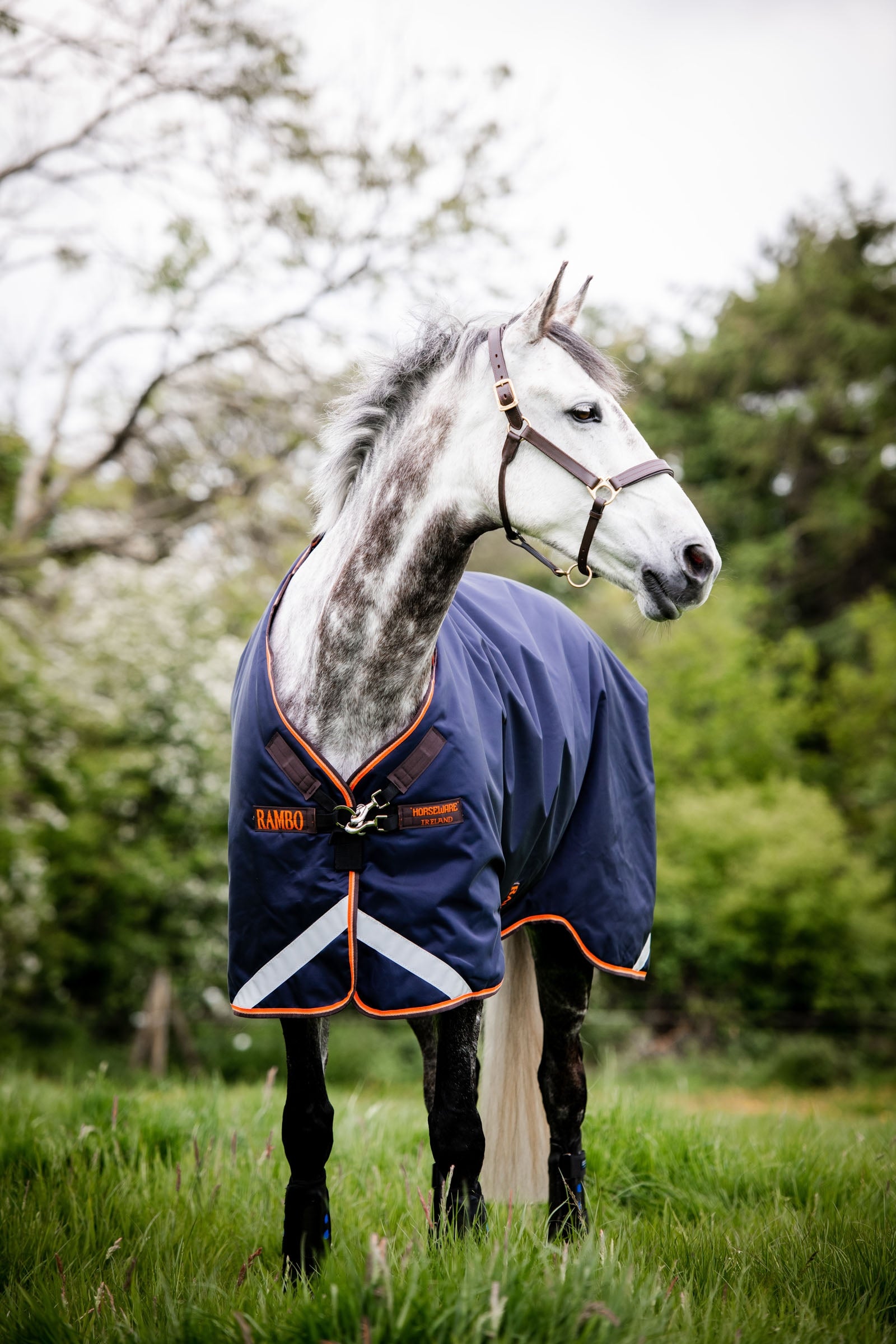 Rambo Original Turnout with Leg Arches, 100g Navy/ Orange/ Tan Brown 1 ...