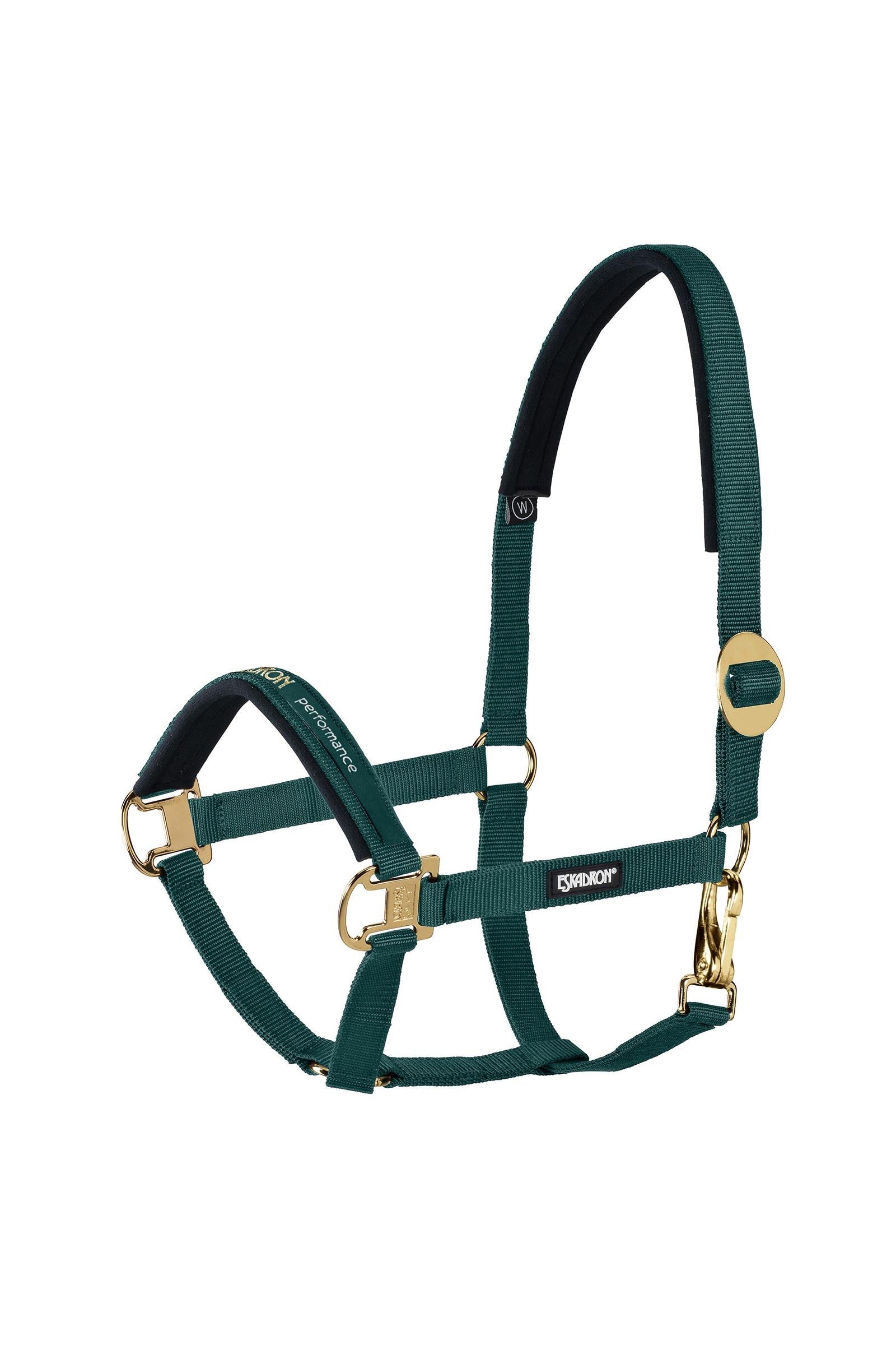 Halter sliding Buckle Racinggreen SHP – horze